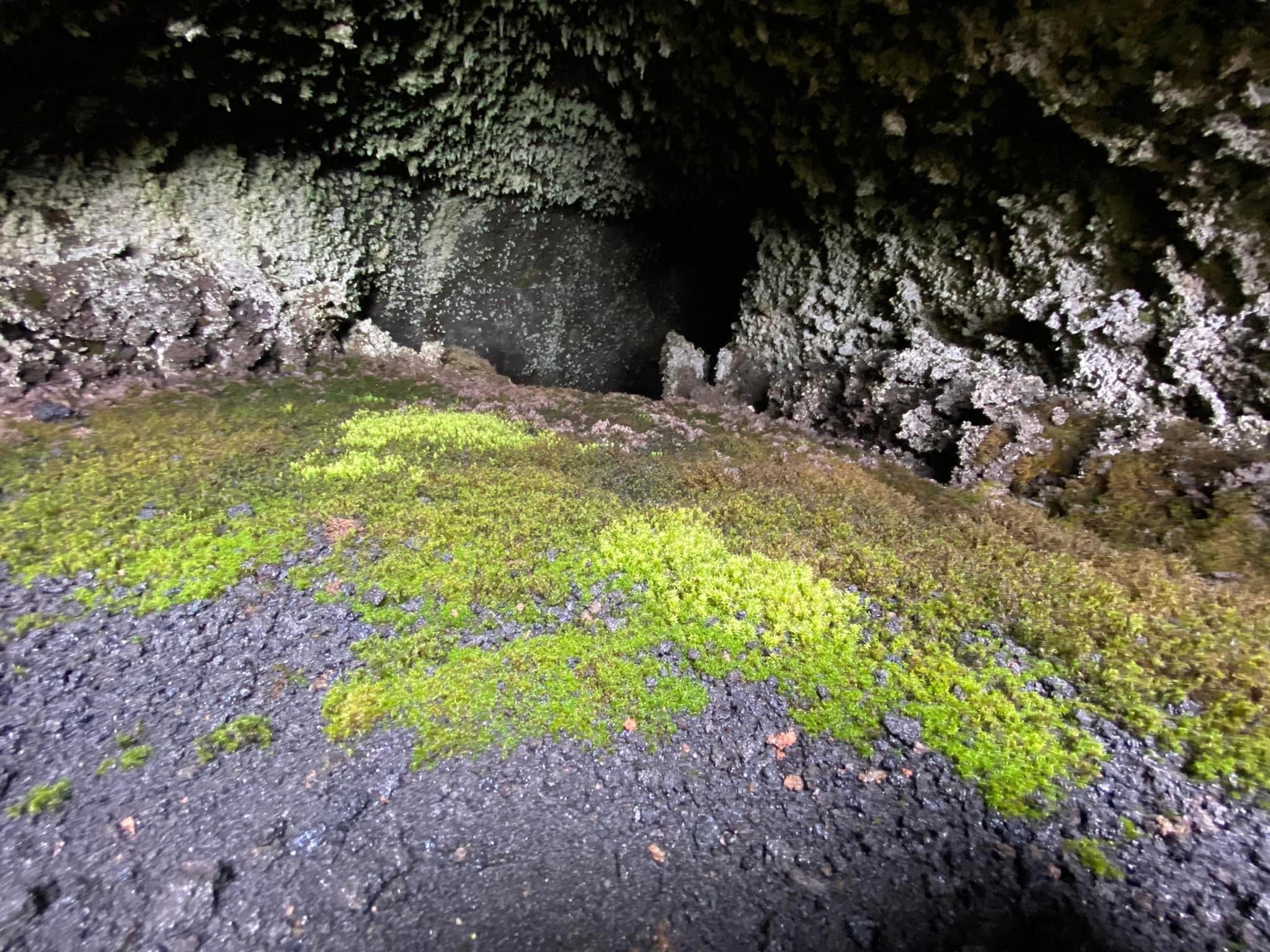 Grotta del Muschio - etnaexcursion.it